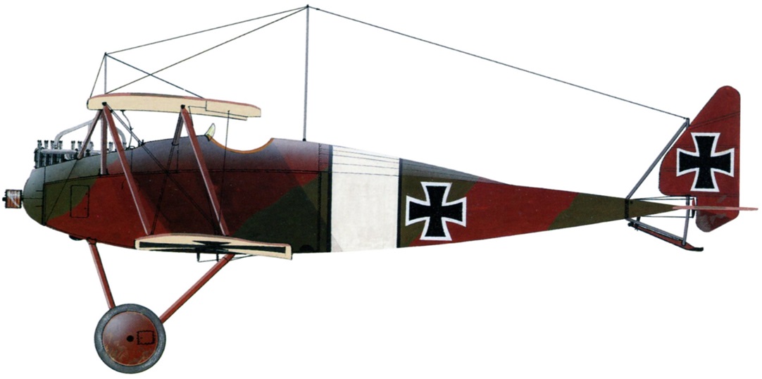 Halberstadt D.I / D.II / D.III / D.IV / D.V, Истребитель | Энциклопедия ...